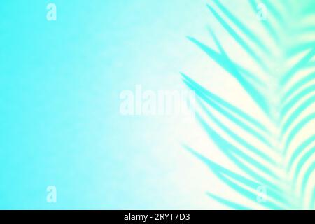 green mint leaf with shadow Stock Photo - Alamy