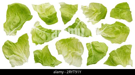 Chopped Iceberg lettuce leaves isolated on white background Stock Photo ...