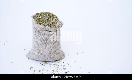 Pearl Millet Seeds Also Know as Bajra, Bajri, Bulrush Millet or Indian ...