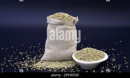 Pearl Millet Seeds Also Know as Bajra, Bajri, Bulrush Millet or Indian ...