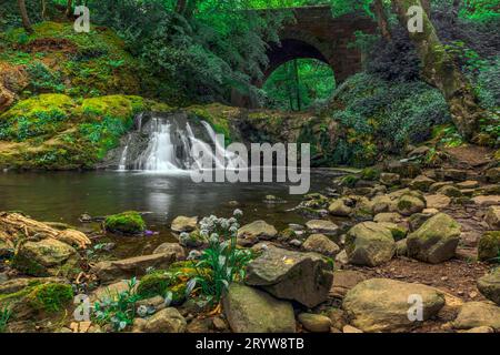 The waterfall in Arbirlot, Angust, Scotland Stock Photo - Alamy