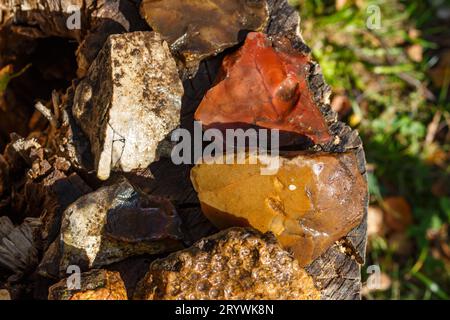 Flint stones found in nature lying on a stump, rockhounding Stock Photo ...