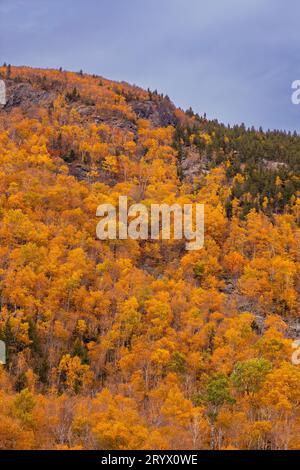 BRANDON GAP, VERMONT, USA - Autumn foliage at Mount Horrid cliffs, in ...