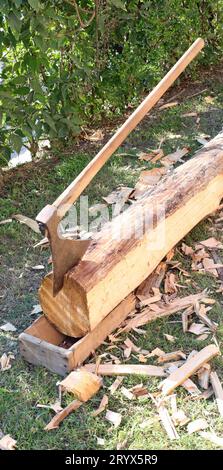 ax used by the woodcutter to cut the trunk of the tree Stock Photo - Alamy