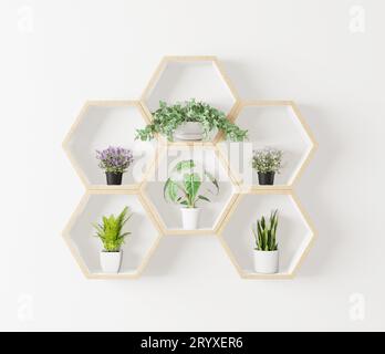 Hexagon wooden shelf Stock Photo - Alamy