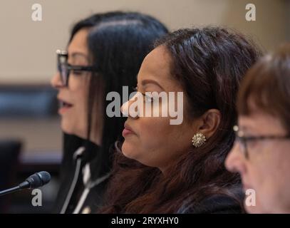 Jaime Williams, Assemblymember (D-59th District), New York State ...