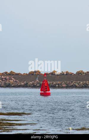 Starboard hand buoy in St. Pierre, France Stock Photo - Alamy