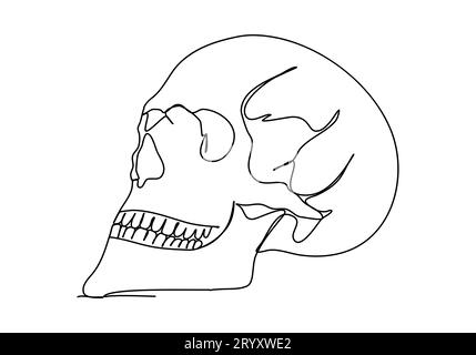 Human skull one line drawing. Single continuous line style. Vector ...