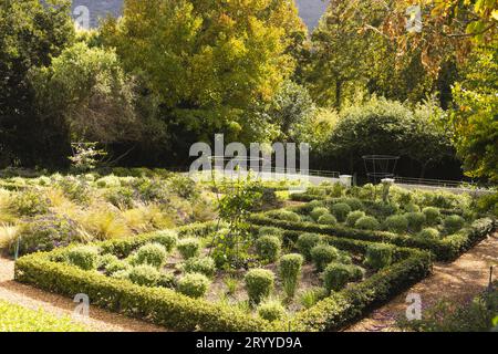 Decorative hedges, gravel paths and lawn in sunny formal garden Stock ...