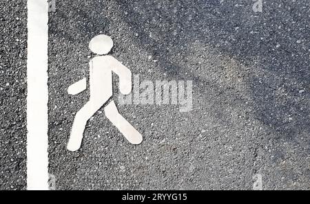 Empty asphalt walking running park road in city sunset green grass ...