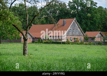 summer time in the german muensterland Stock Photo - Alamy