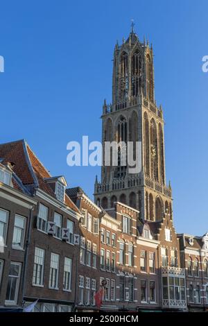 Dom Tower (domtoren) of Utrecht surrounded by historic buildings in the ...