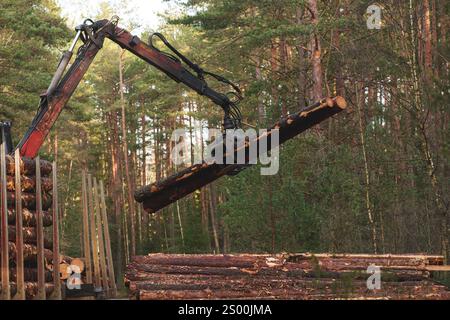 A red logging truck is being loaded with logs by a mechanical crane in ...