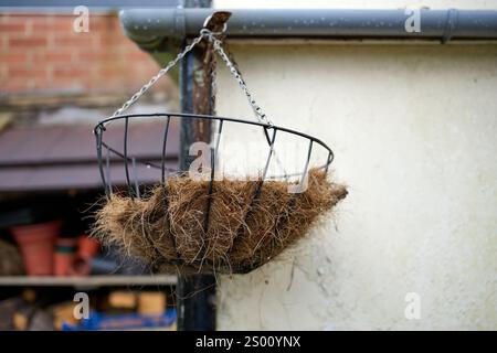 Hanging basket against a brick wall, containing bidens, geraniums ...