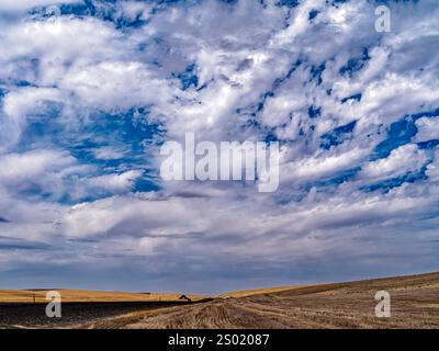 Clouds gather above a farm in Lobos, Argentina, Tuesday, Jan. 13, 2026 ...