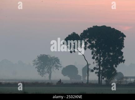 A villager rides a bicycle along a rice field during sun rise in Nakhon ...