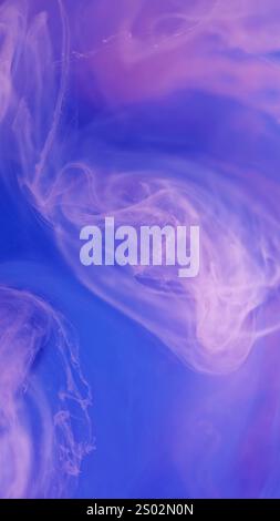 Abstract blue pink dust explosion on white background. Freeze motion of ...