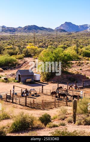 Rustic wooden corral has beautiful view of snow capped Mount Washington ...