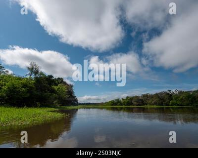 Amazon river landscape. Taken near the Mamiraua National Park Stock ...