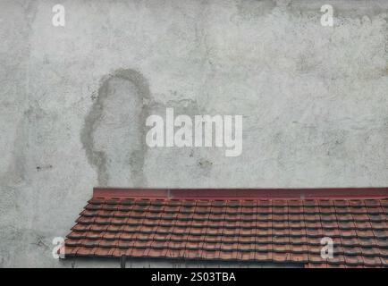 La Linea Man. A Humorous Cartoon Character made from humidity on the ...