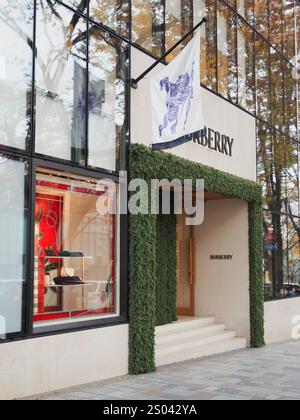 The front of a Burberry store in Tokyo's Ginza area. (January 2020 ...