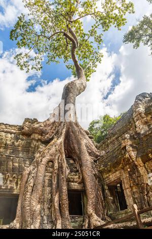 Angkor Vat, Angkor, Siem Reap, Cambodia Stock Photo - Alamy