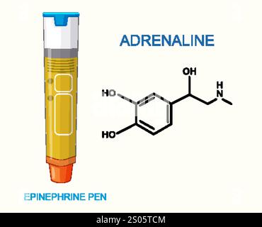 Adrenaline molecular structure. Adrenaline, or epinephrine, is a ...