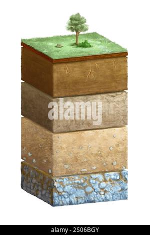 Layers of soil diagram. Digital illustration, 3D rendering Stock Photo ...