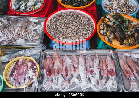 Seafood, including shrimp, octopuses, clams, sea snails, squid, octopus ...