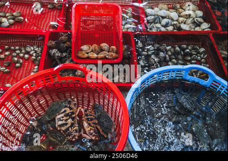 Seafood, including shrimp, octopuses, clams, sea snails, squid, octopus ...