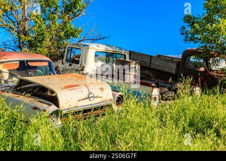 Bunch of old broken cars in a muddy junkyard Stock Photo - Alamy
