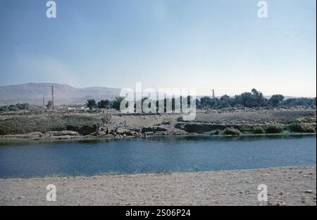 Lateral canal of River Nile, Nile Valley, Egypt, September 1989 Stock ...