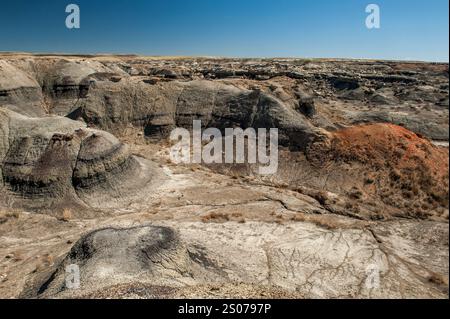 Mud- and clay-stones of New Mexico's Bisti Badlands Stock Photo - Alamy