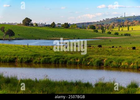 Beautiful scenic Carcoar Dam or Lake Carcoar including Blayney Wind ...