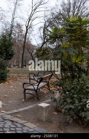 Wooden benches in the park, fallen autumn maple leaves on paving stones ...