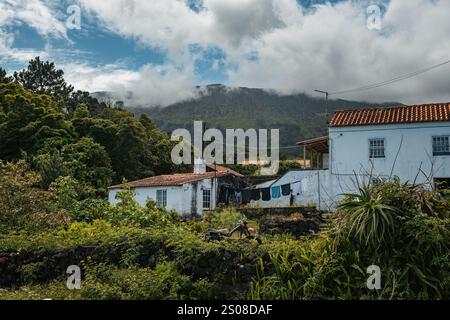 Traditional tile roof houses at Pico island Azores Portugal Stock Photo ...