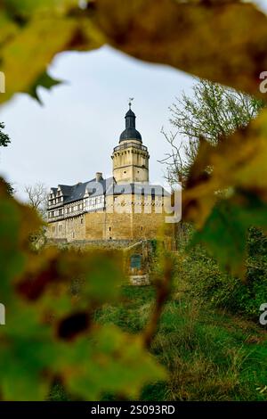 Selketal Blick am 6. Oktober 2024 auf Selkefall bei Alexisbad im Oberen ...