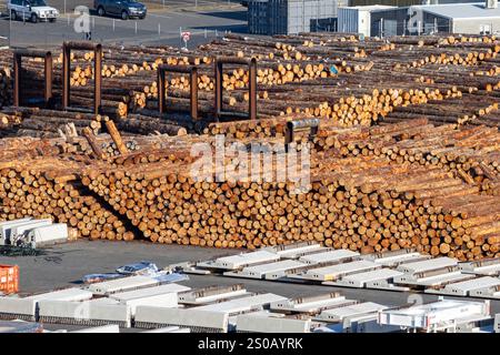 Hobart Tasmania, timber logging supplies ready for export, timber is ...