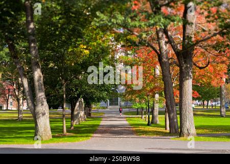 Bowdoin campus in the fall Stock Photo - Alamy