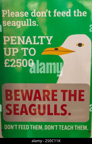 England, Kent, Dover, Amusing Colourful Beware the Seagull Sign Stock ...