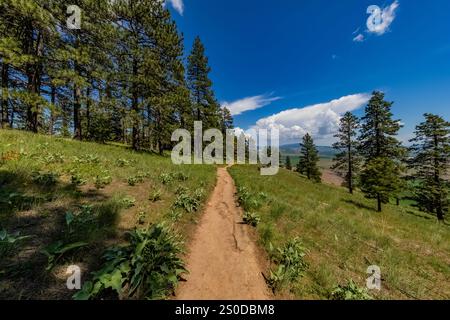 Trail atop high butte in Kamiak Butte County Park in the Palouse region ...