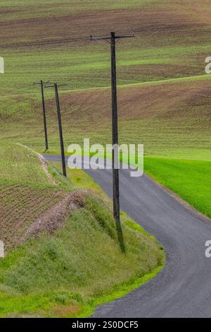 Back road winding through the Palouse region, with utility poles ...