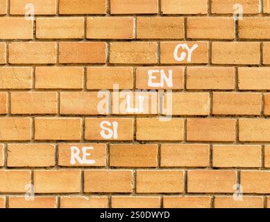 Resiliency symbol. Concept word Resiliency on beautiful white marble ...