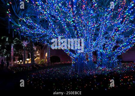 Christmas lights. Hutchinson Island Mansion (Robert Eustace estate ...