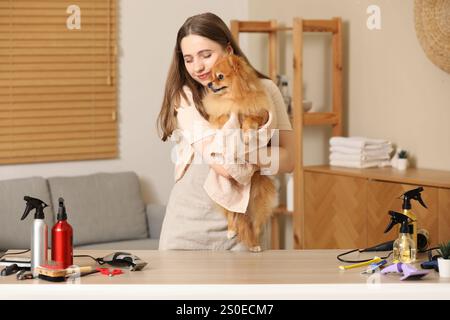 Female groomer wiping Pomeranian dog's hair after washing in salon ...