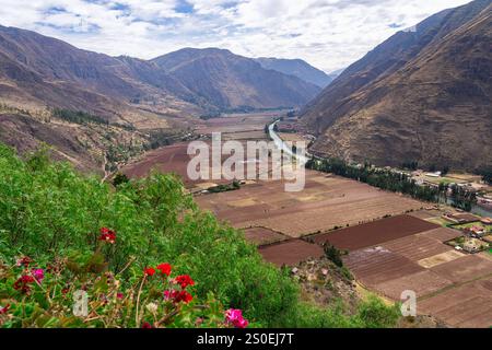 SACRED VALLEY OF THE INCAS, PERU - AUGUST 16, 2006: Shepherd managing ...