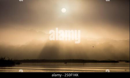 Damp rainforest at sunrise on the east side of Rio Chagres, Soberania ...