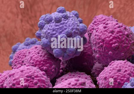 Lymphoma cells - closeup view 3d illustration Stock Photo - Alamy