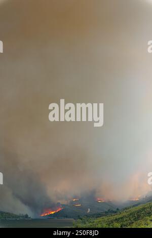 A burning forest with dense smoke Stock Photo - Alamy