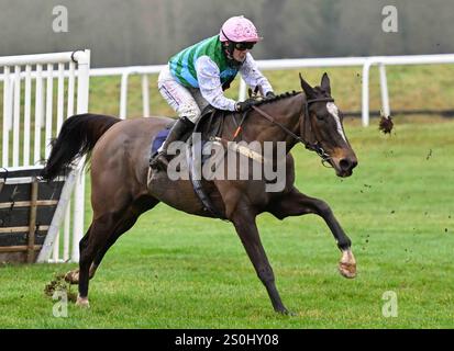 Tour Ovalie ridden by Isabel Williams heads back following the Join ...